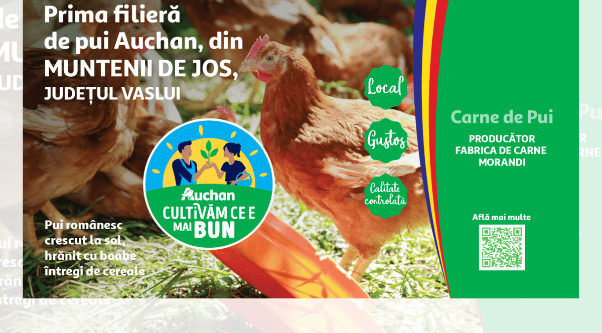 Gustul Natural Al Puiului De Acasă. Povestea Fermierilor Care Aduc ...