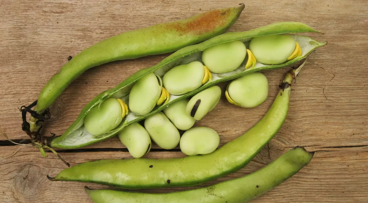 Ce Este Bobul. Reţete De Mâncare Cu Bob | Libertatea