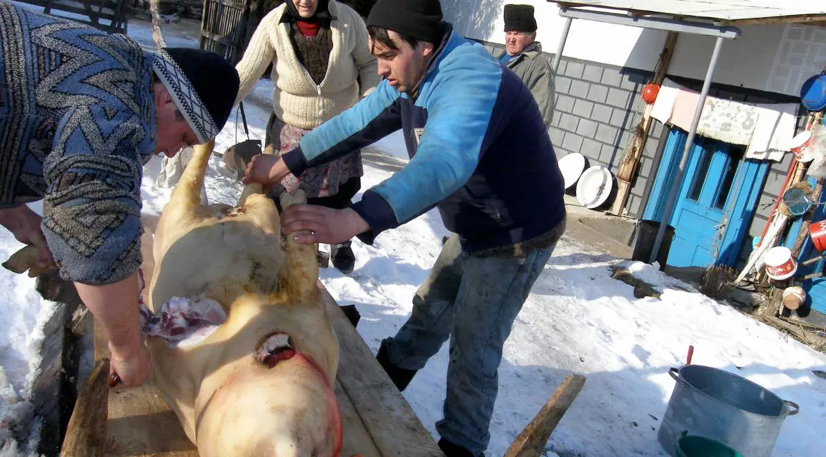 Când Se Sărbătorește Ignatul în 2024. Obiceiuri și Tradiții Legate De ...