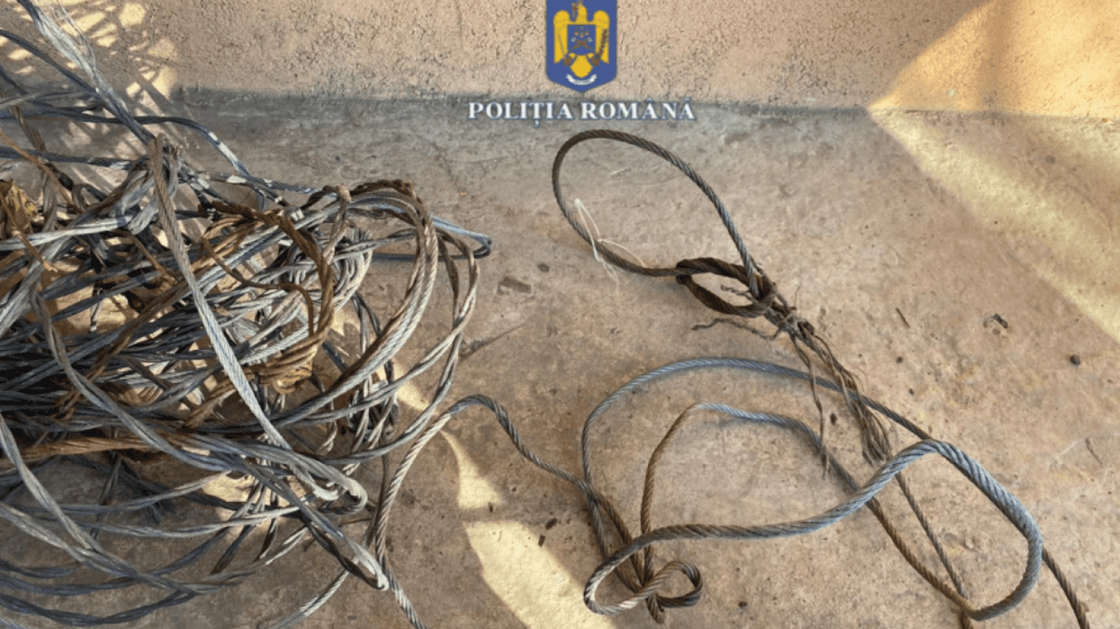 Braconier Din Galați, Vizat De Percheziții. Au Fost Găsite Capcane ...
