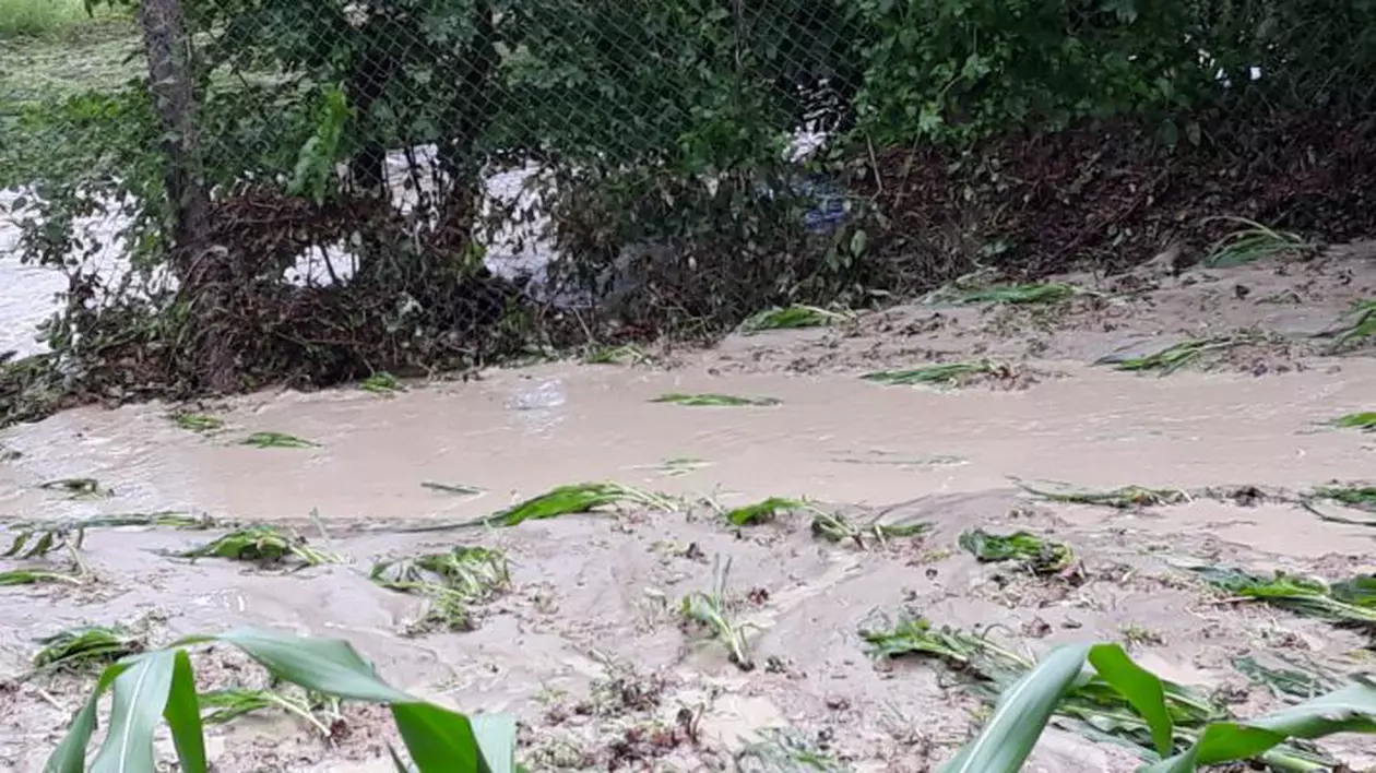 Drumuri și Gospodării Afectate De Inundații, în Vâlcea | Libertatea