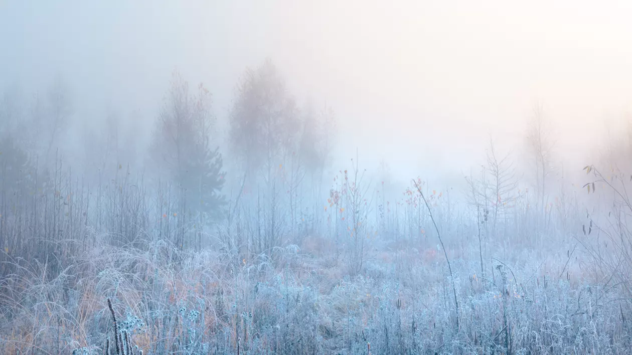 Ce Este și Cum Se Formează Ceața | Libertatea