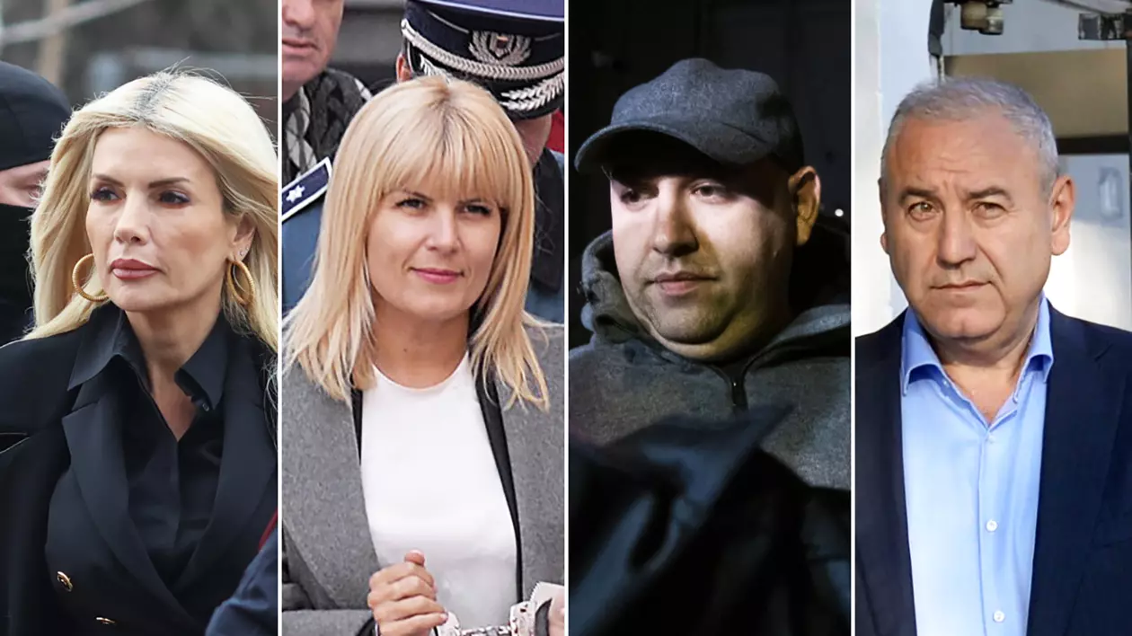 Dreptatea în Lumea Lui Ciorbă și Cocoș | Libertatea