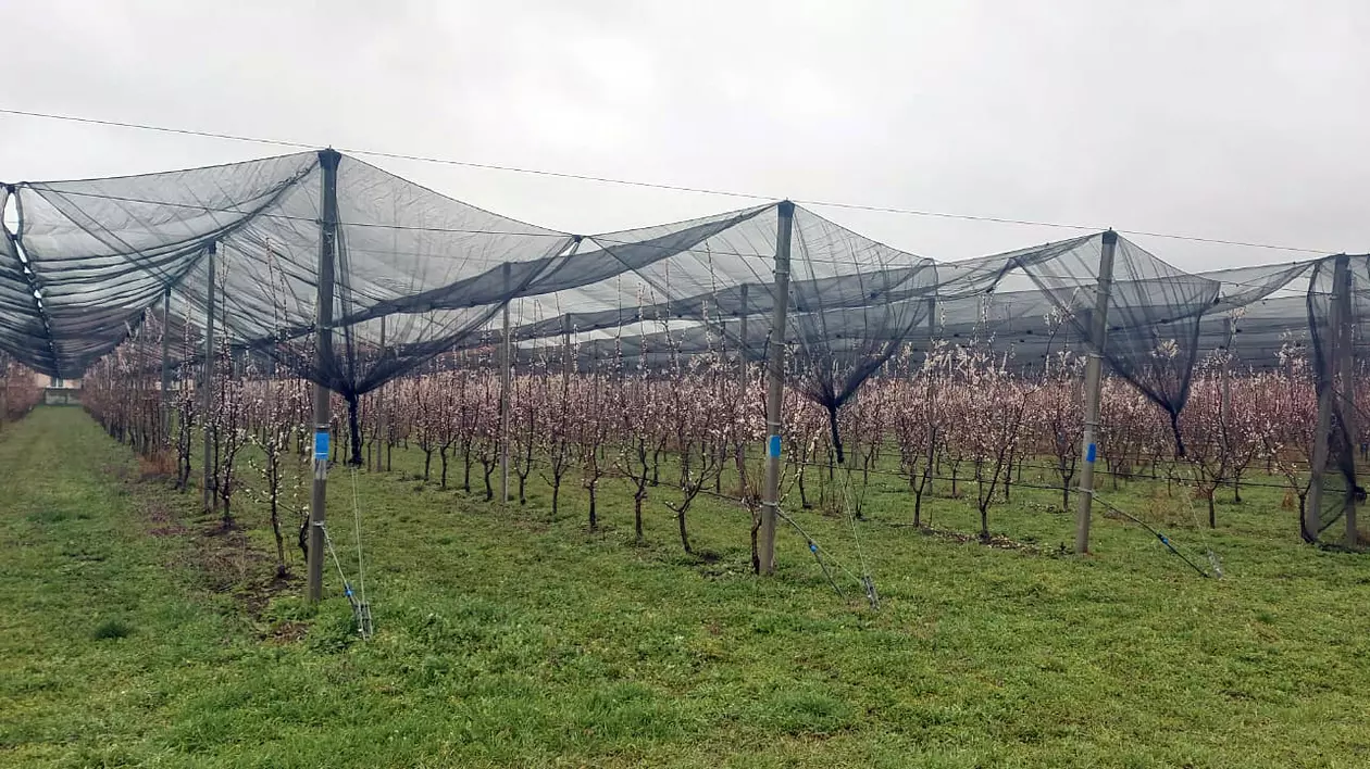 Ajutorul european pe care Ministerul Agriculturii îl cere pentru ...