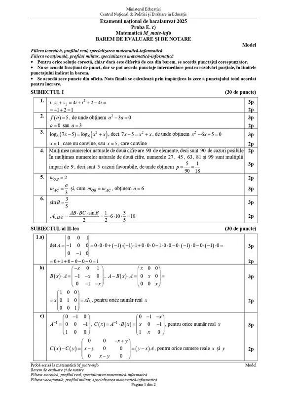 Modele De Subiecte Pentru Bacalaureat 2025, Publicate De Ministerul ...