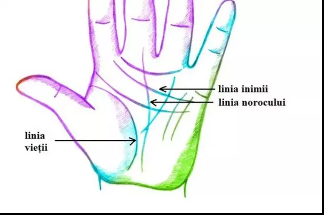 Ce Spun Liniile Din Palmă Despre Destinul Tău | Libertatea