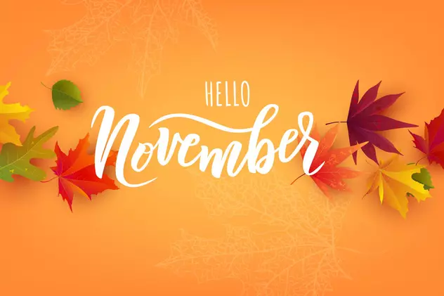 Curiozități Despre Luna Noiembrie | Libertatea