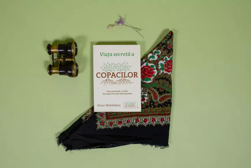 11 Cărți De Citit în Vacanță. Recomandări De Lecturi Pentru Relaxare ...