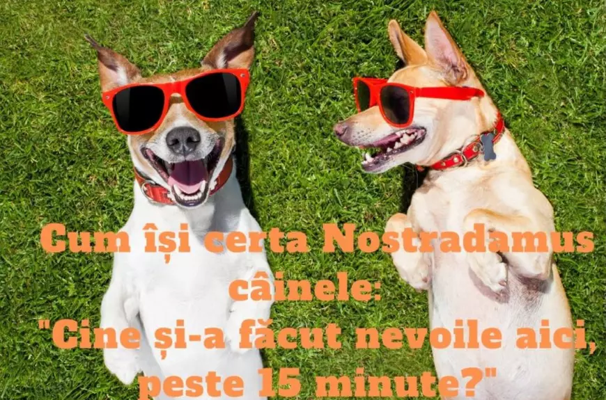 Bancuri - Top 100 de glume bune, pentru toată lumea