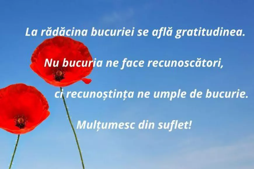 Mesaje De Mulțumire - Cele Mai Frumoase Moduri în Care Să Spui ...