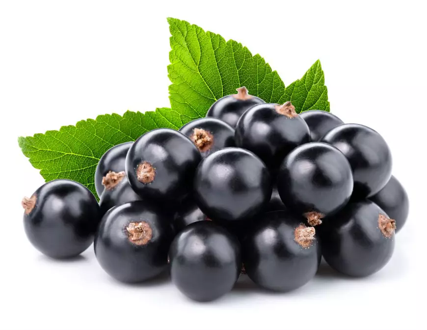Coacăze Negre - Beneficii și Utilizări. Fructele Minune Pentru ...