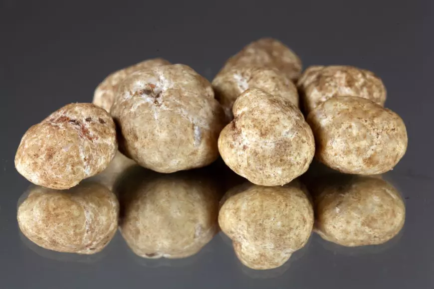 Trufele - Ce Sunt, Cum Pot Fi Folosite în Rețete. Cum Să Le Depozitezi ...