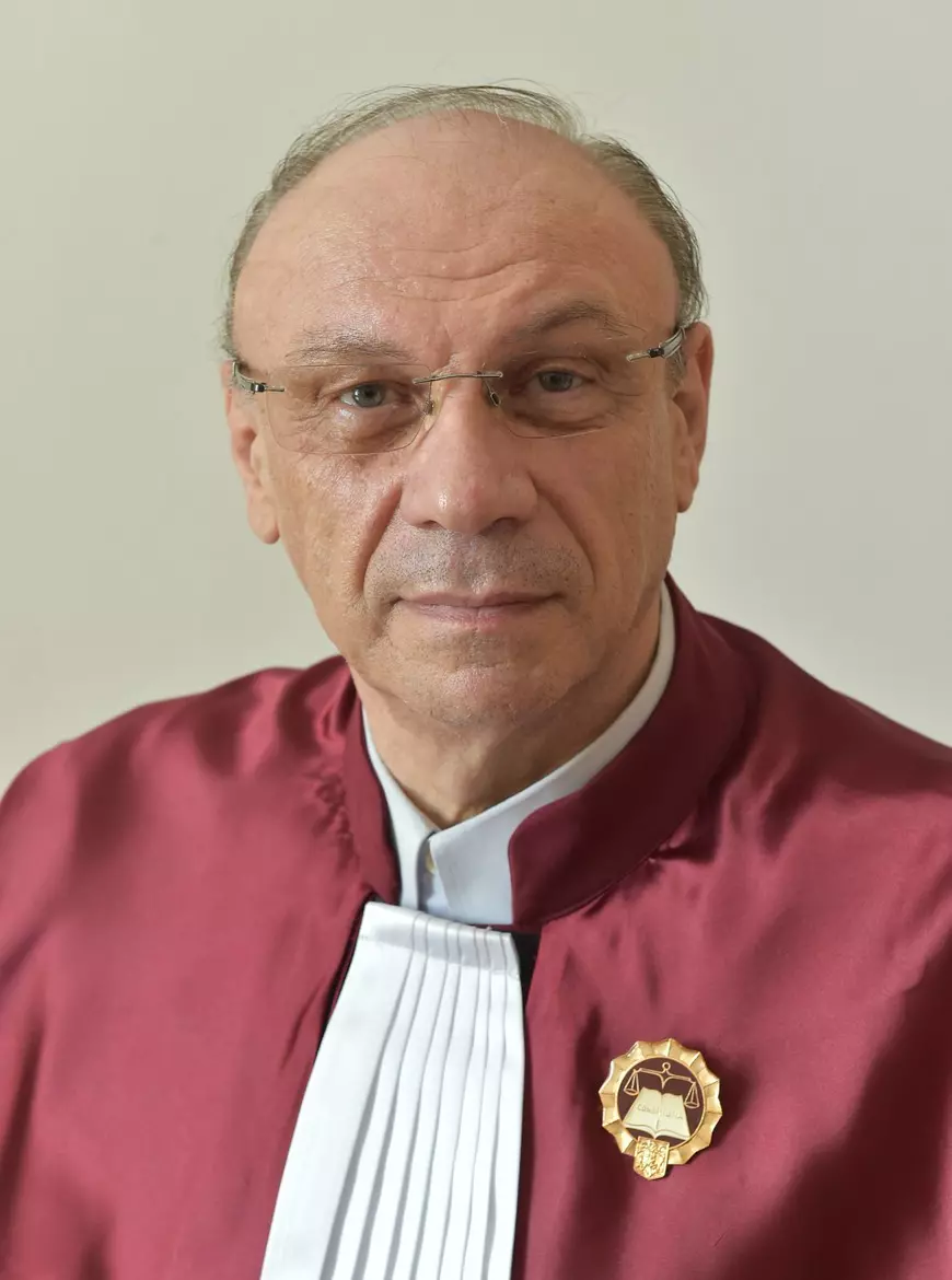 Cine Este Marian Enache, Noul Președinte Al CCR | Libertatea