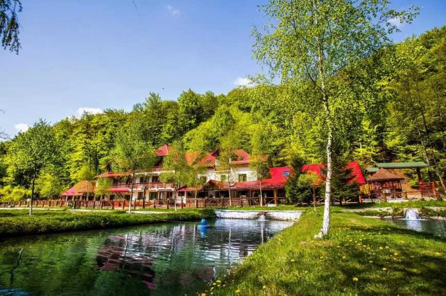 10 Păstrăvării Din România Unde Poți Să Mergi în Vacanță | Libertatea