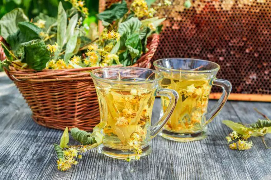 Cum Să Usuci Corect Florile De Tei | Libertatea