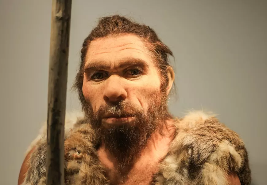 Cum Arătau Neanderthalienii? ADN-ul Dezvăluie Secrete Despre Cea Mai ...